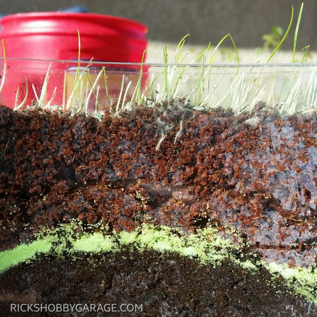 Kids Observation Ecosystem Worm Farm - Week 1 Observation