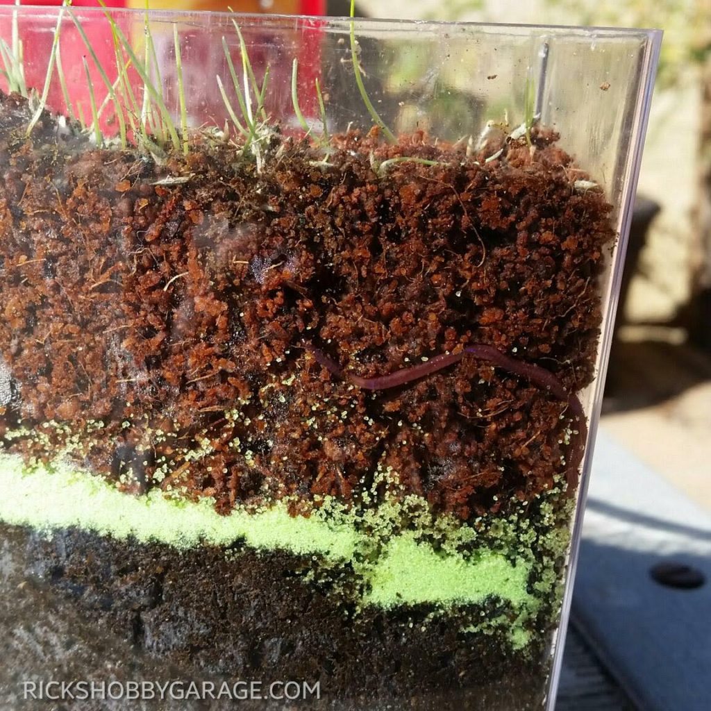 Kids Observation Ecosystem Worm Farm - Week 1 Observation