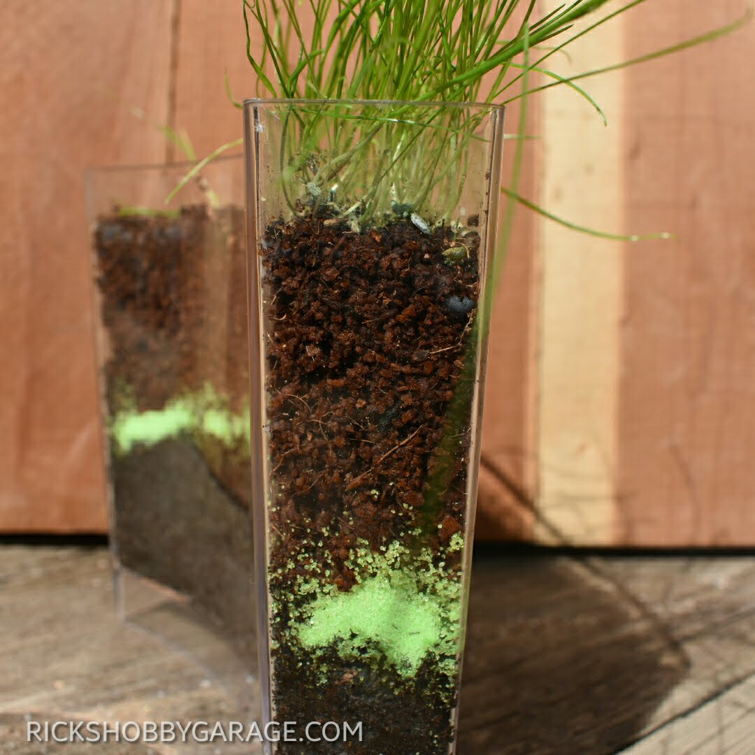 Kids Observation Ecosystem Worm Farm - Weeks 2 and 3