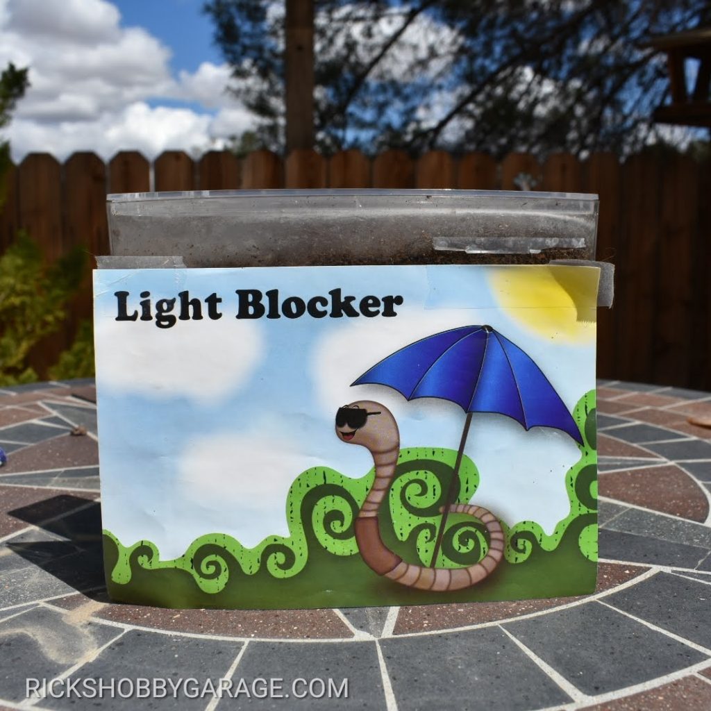 Kids Observation Ecosystem Worm Farm - 1 Year Later