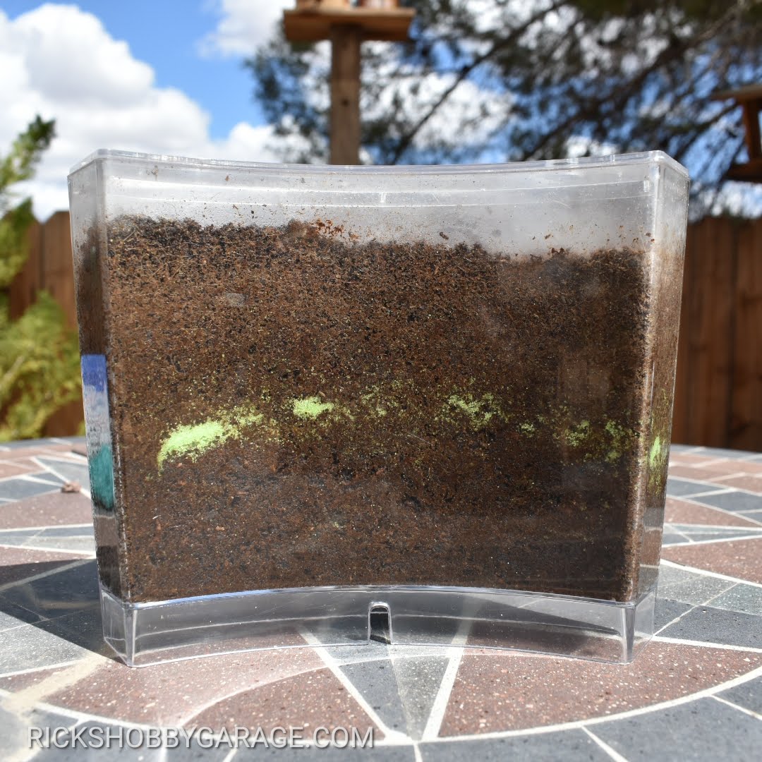 Kids Observation Ecosystem Worm Farm - 1 Year Later